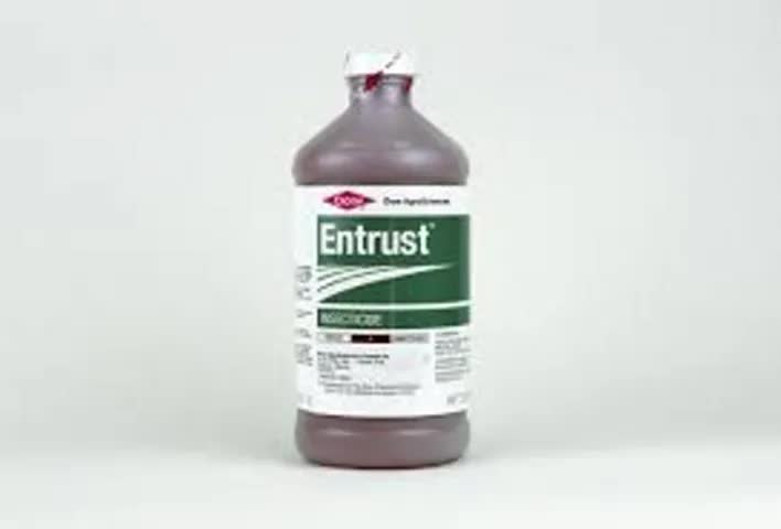 Entrust SC Naturalyte Insect Control Quart – Custom Hydro